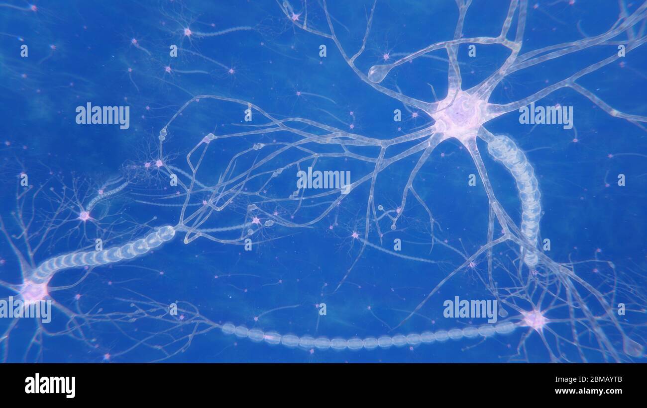 3d illustration brain neurons with synapses and axons Stock Photo - Alamy