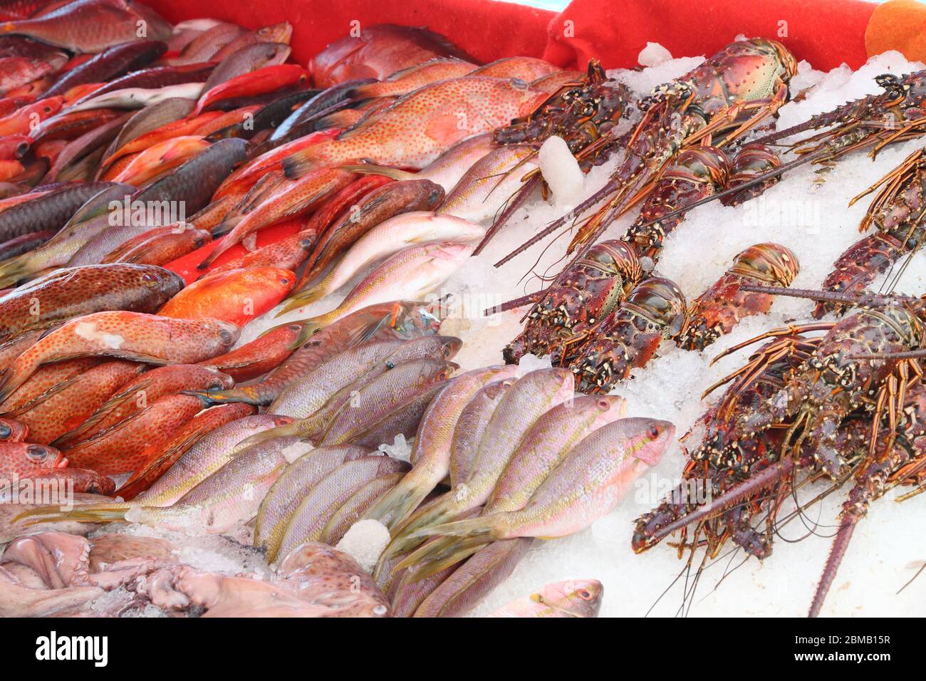 Guadeloupe fish market in Pointe a Pitre, biggest city of Guadeloupe ...