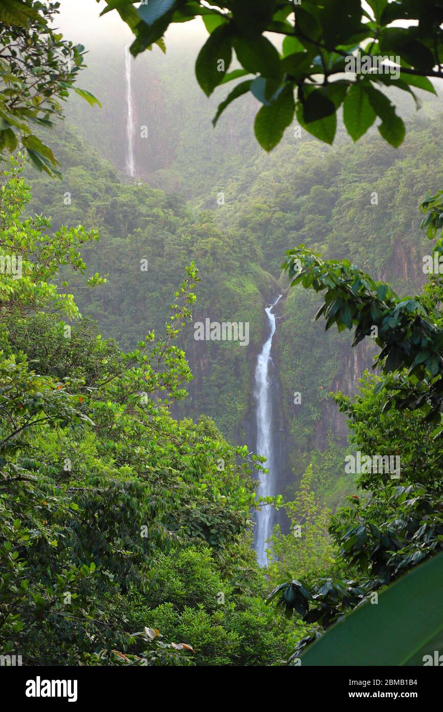 Waterfall in Guadeloupe Caribbean island. Chutes du Carbet, waterfall ...