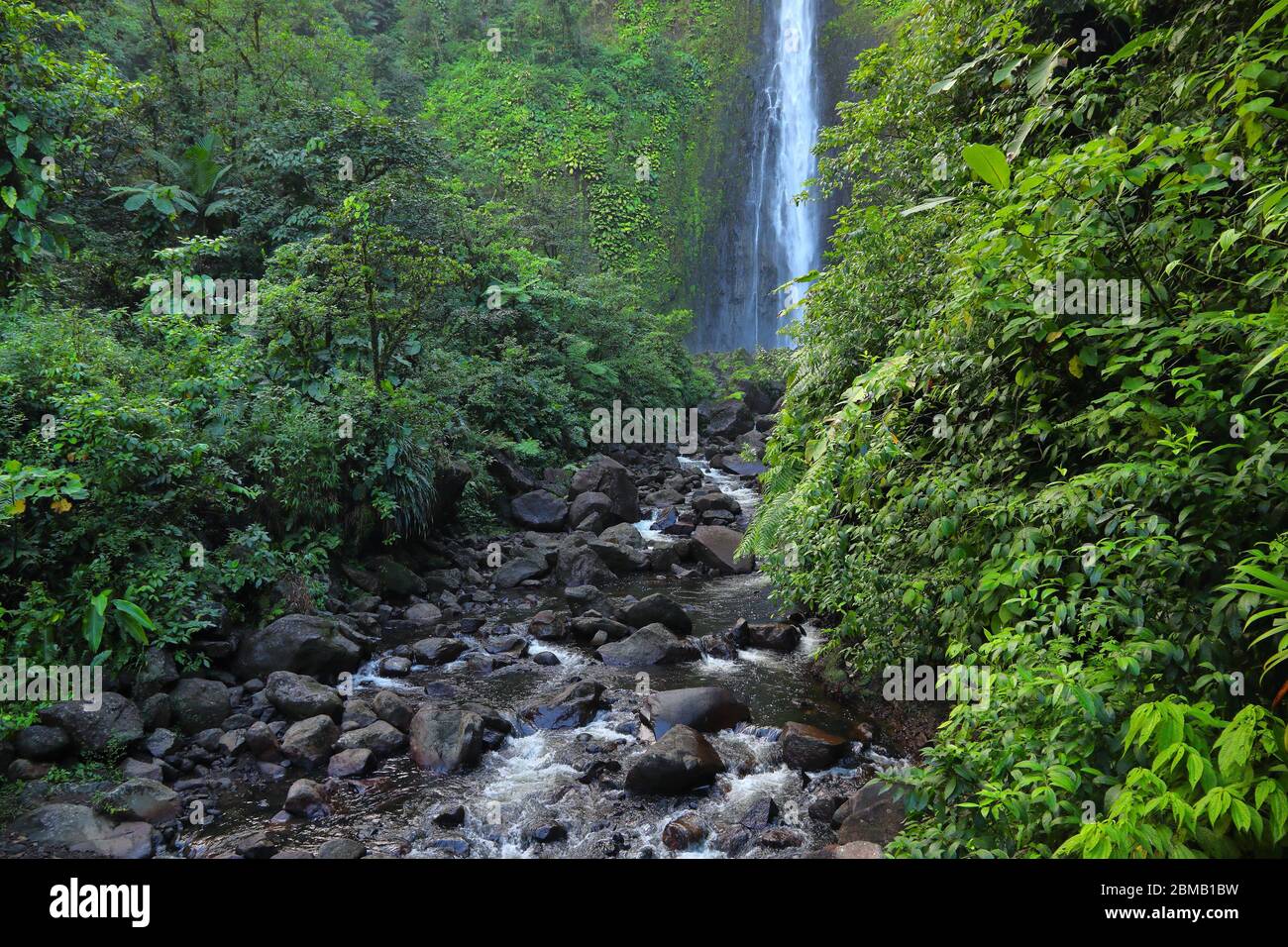 Waterfall in Guadeloupe Caribbean island. Chutes du Carbet, waterfall ...