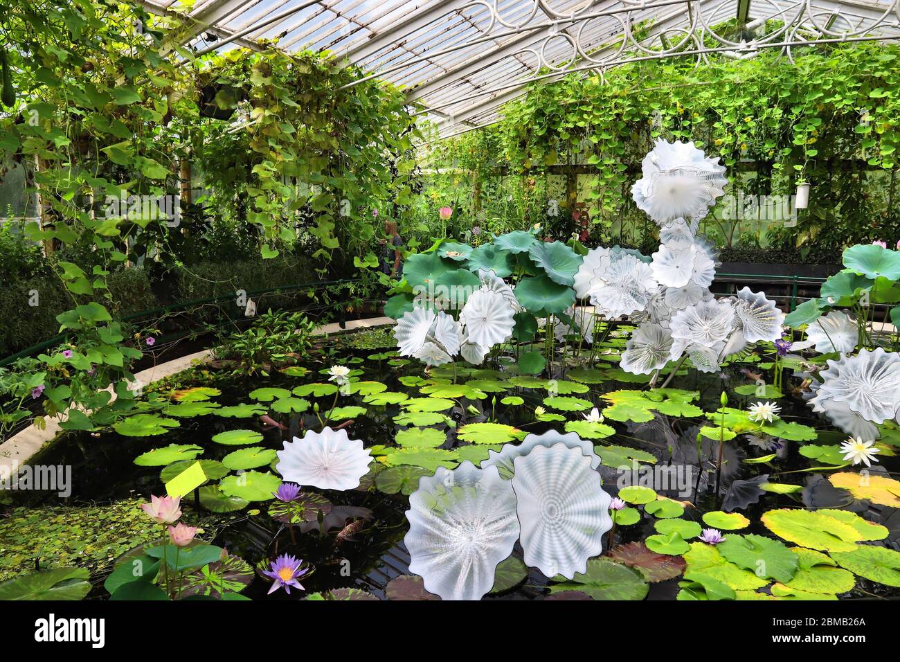 KEW, UK - JULY 15, 2019: People visit Waterlily House of Kew Gardens in ...