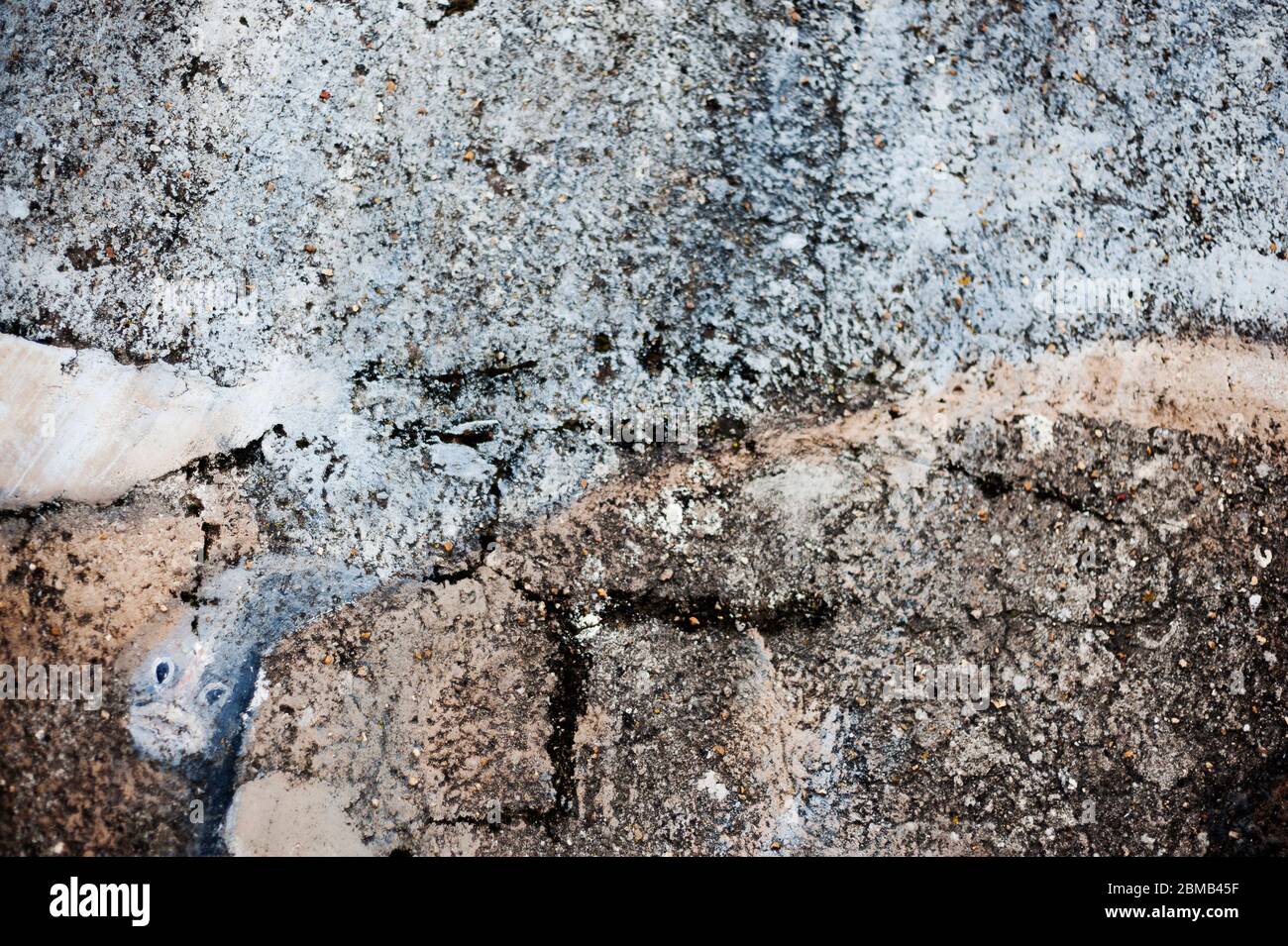 Lonely fish hiding, chalk drawing on a wall Stock Photo - Alamy