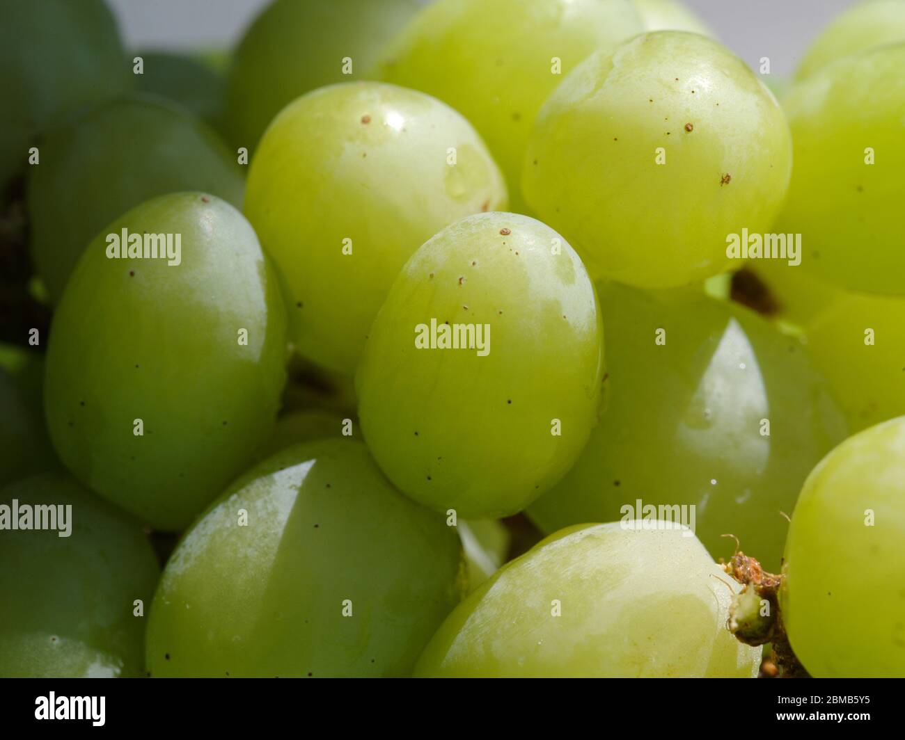 Grape skins hi-res stock photography and images - Alamy