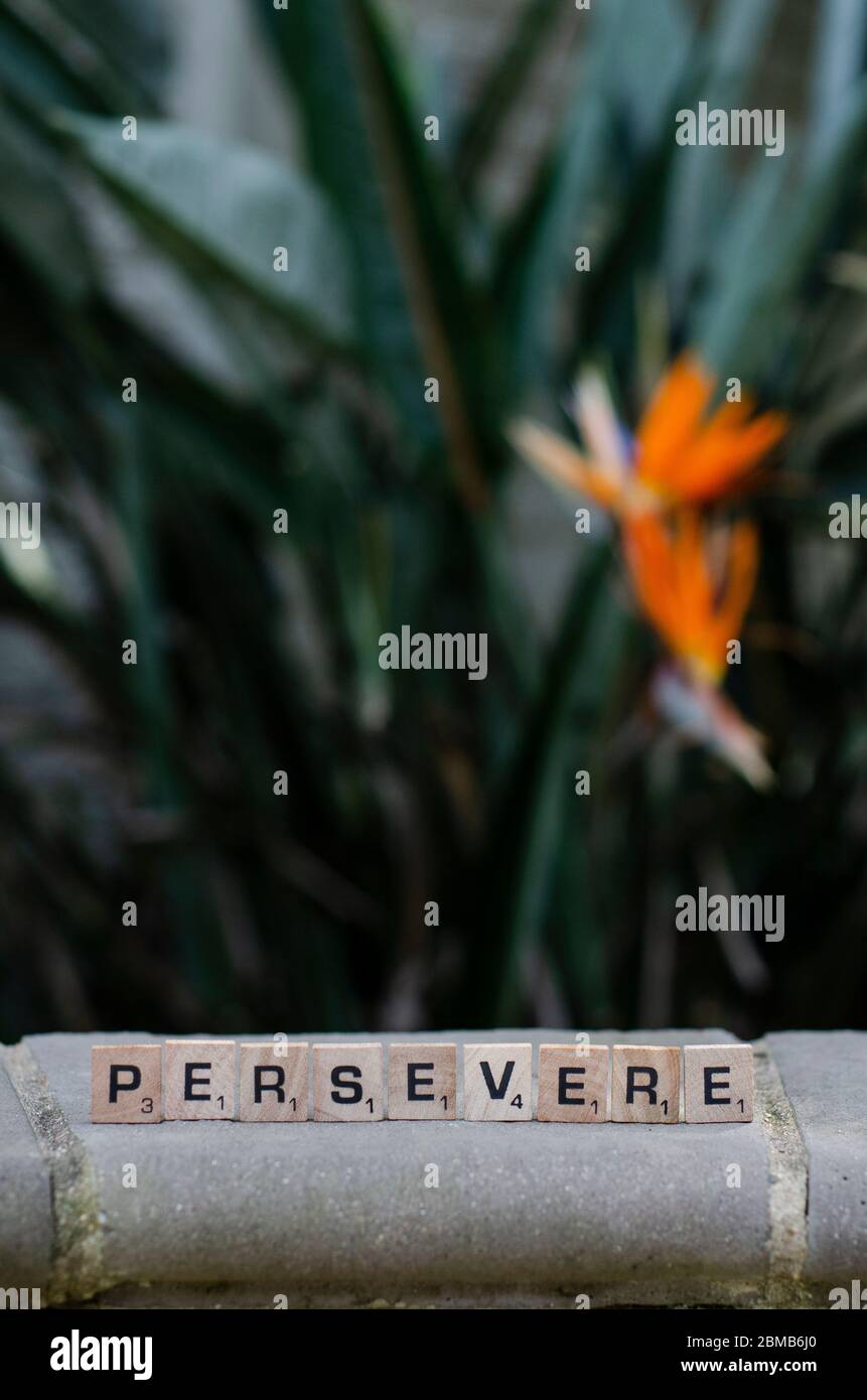 Persevere in letters hi-res stock photography and images - Alamy