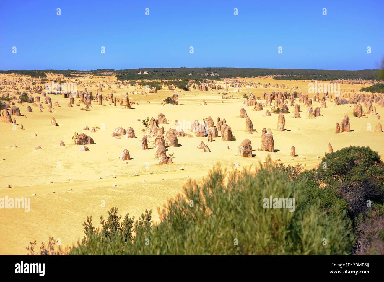 Limestone formations at The Pinnacles in Nambung National Park, Western ...