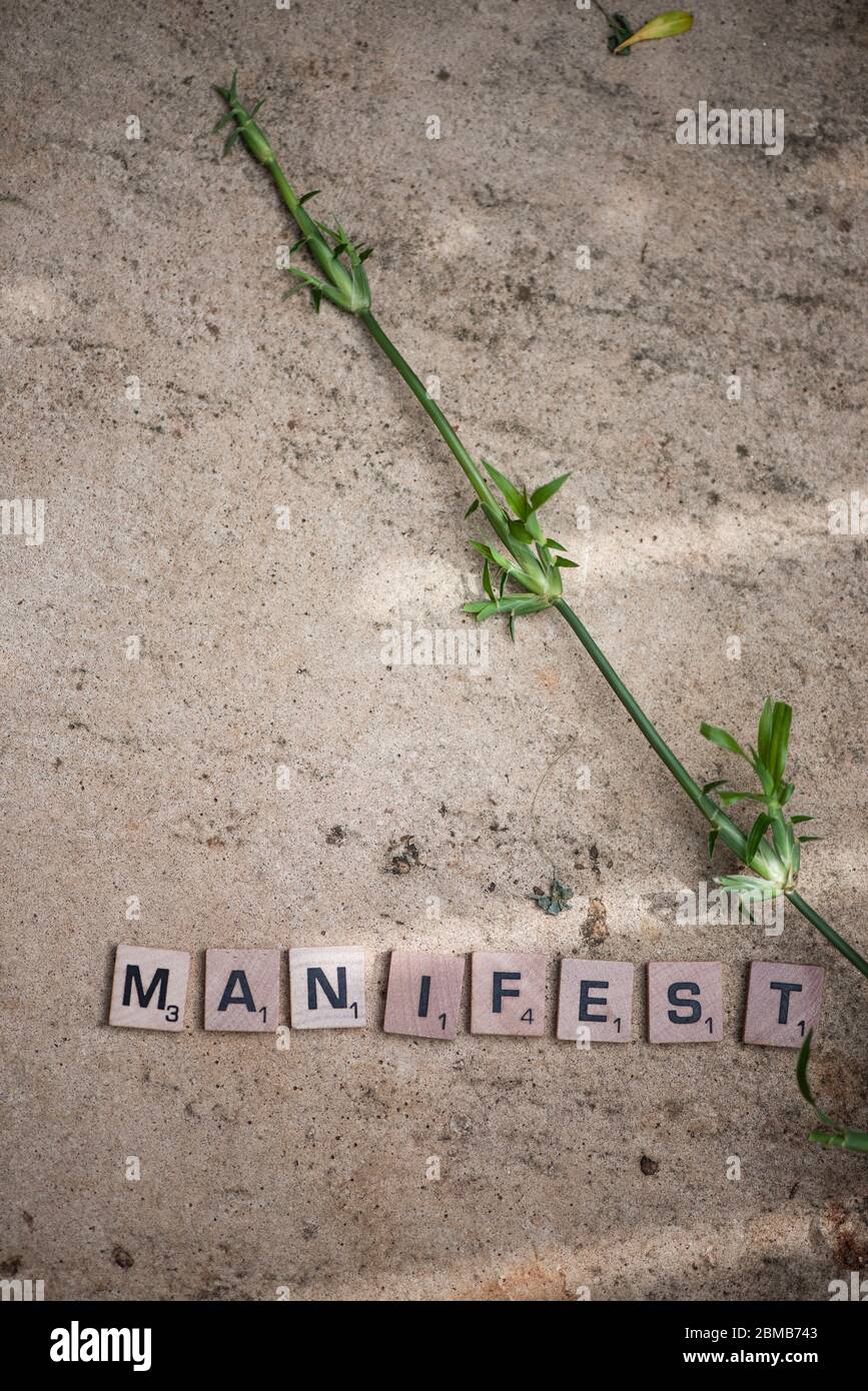 Manifest hi-res stock photography and images - Alamy