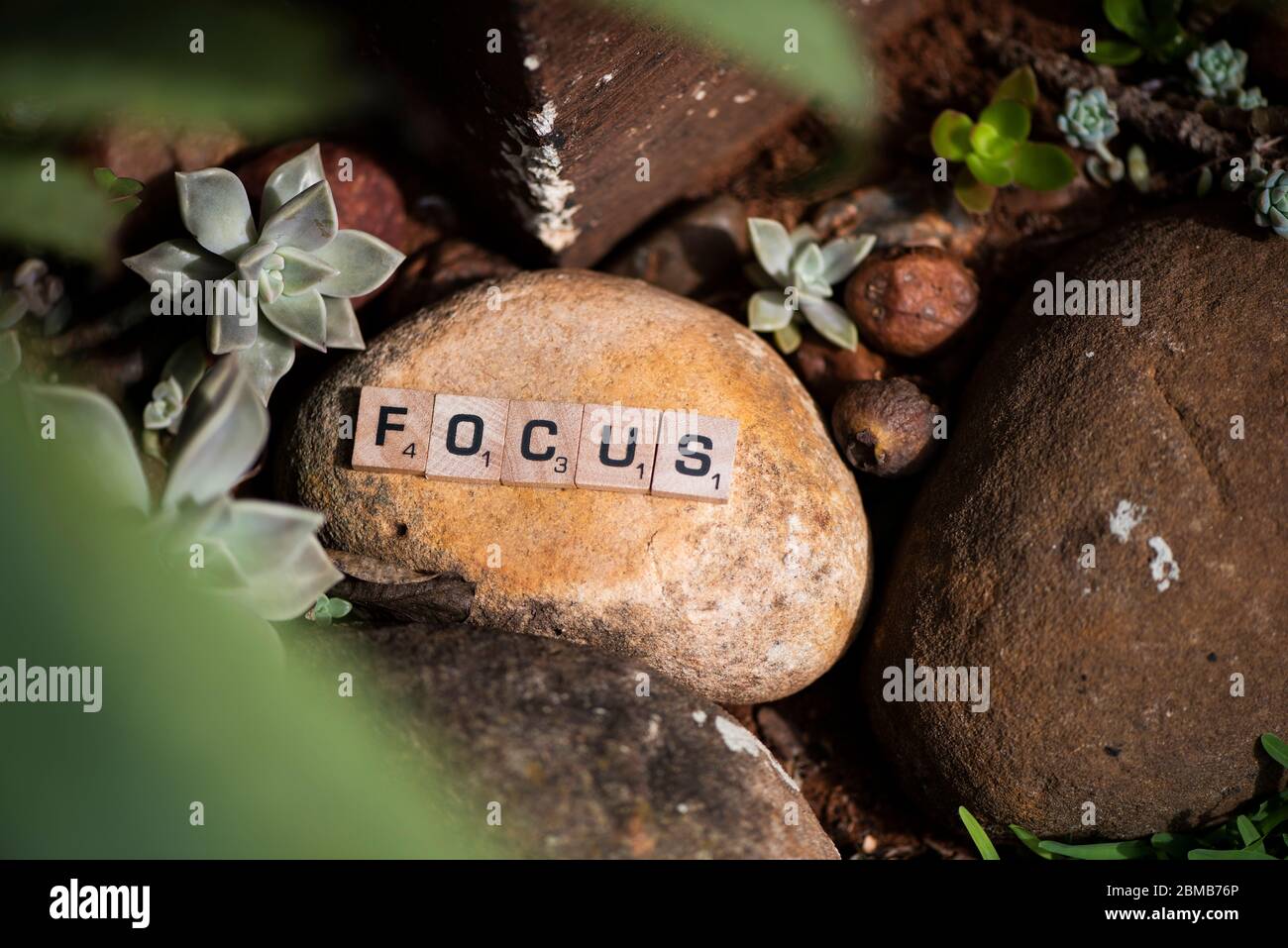 Some words in focus hi-res stock photography and images - Alamy
