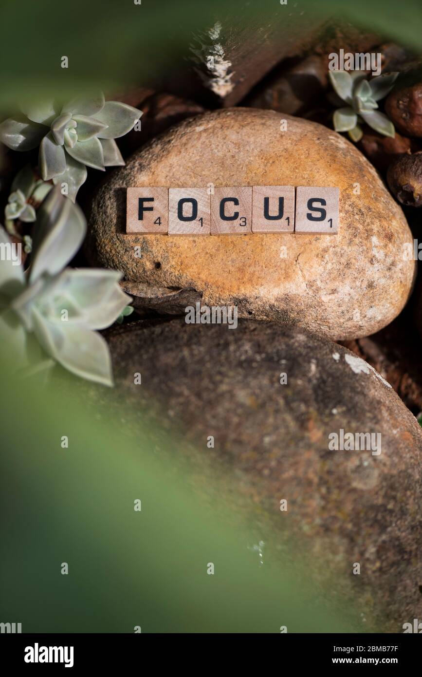 Focus in block letters Stock Photo - Alamy