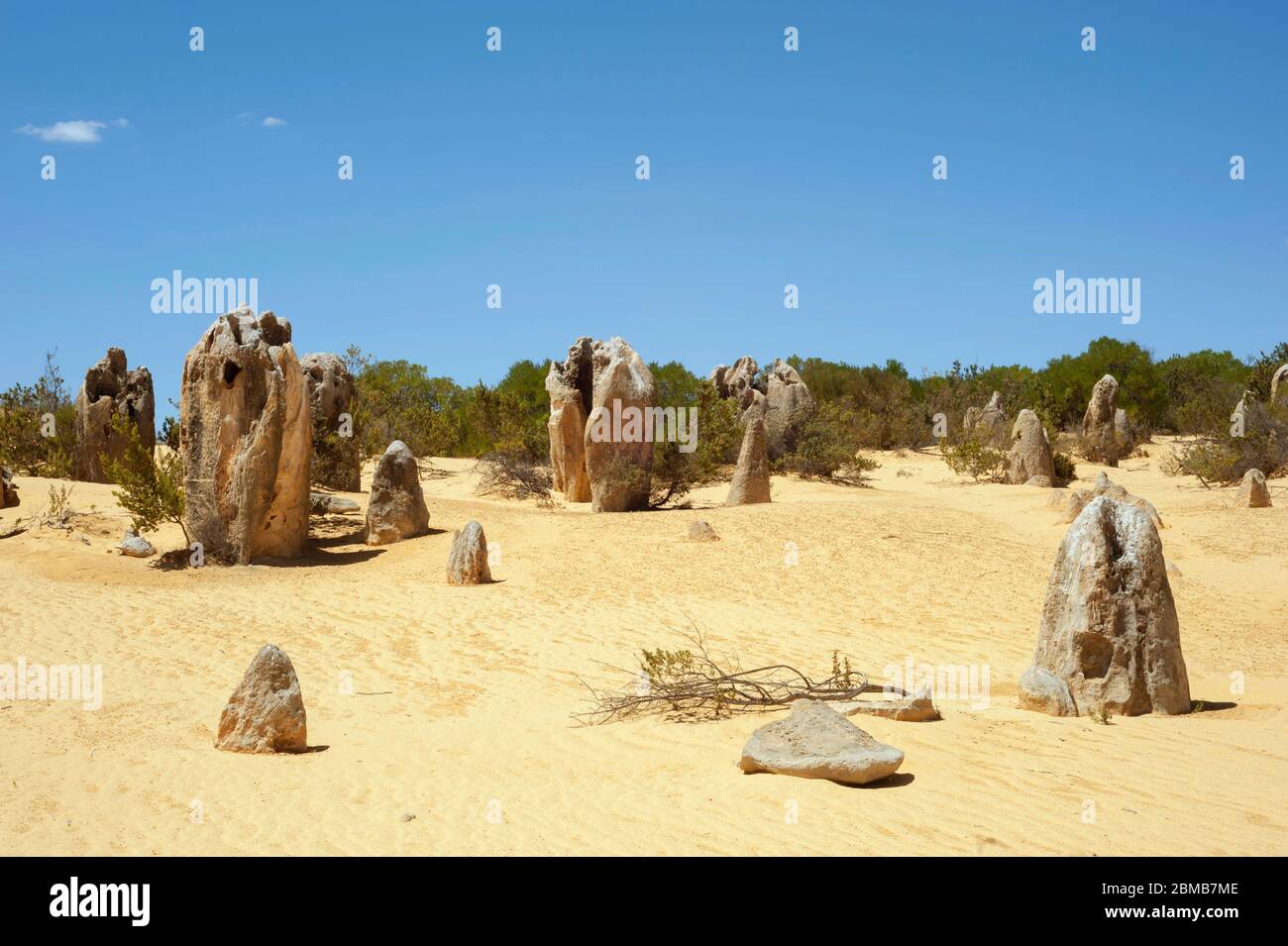 Limestone formations at The Pinnacles in Nambung National Park, Western ...
