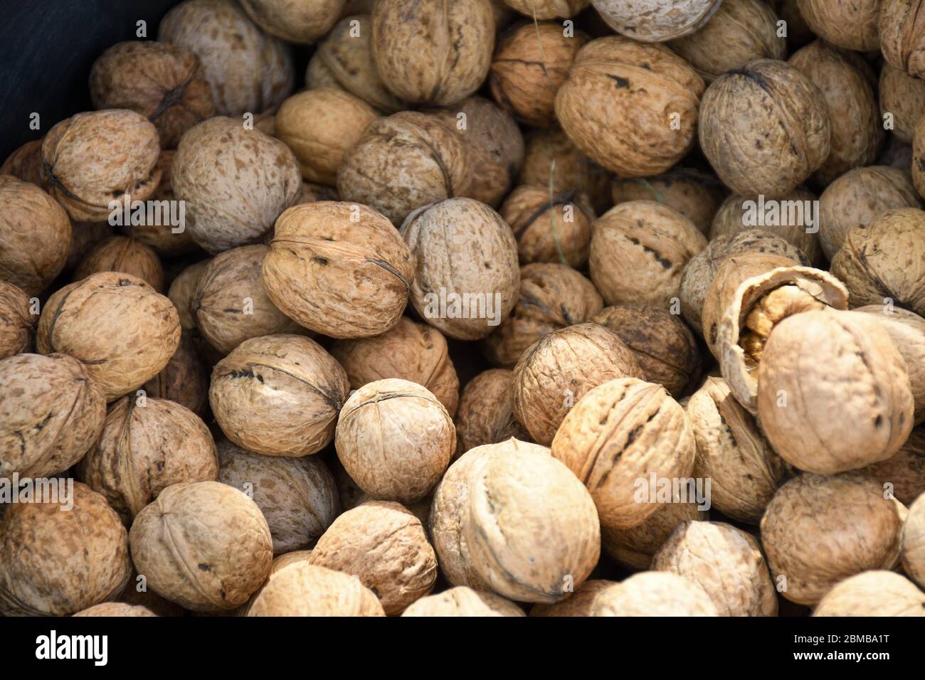 Fresh whole walnuts pile in sunshine display. Walnuts (Juglans regia ...