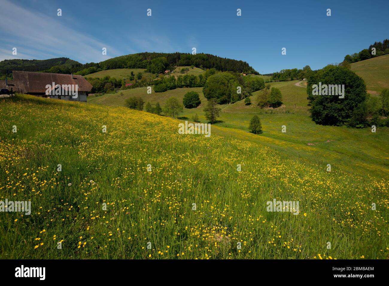 spring time in the kinzig valley in the black forest in germany Stock ...