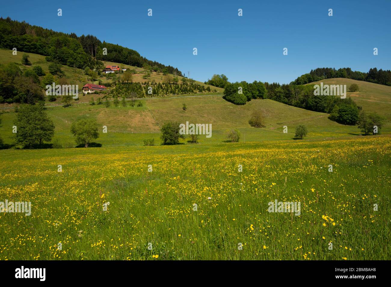 spring time in the kinzig valley in the black forest in germany Stock ...