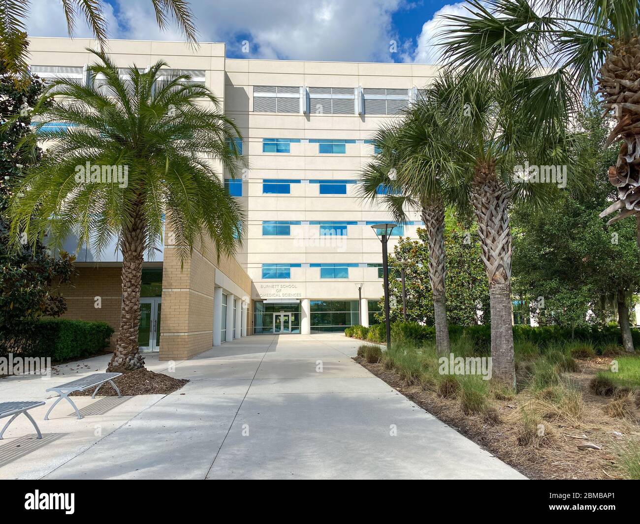 Biomedical sciences hi-res stock photography and images - Alamy