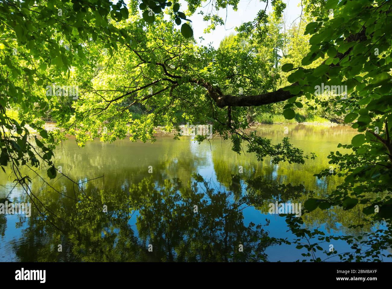 Wetlands and wetlands hi-res stock photography and images - Alamy