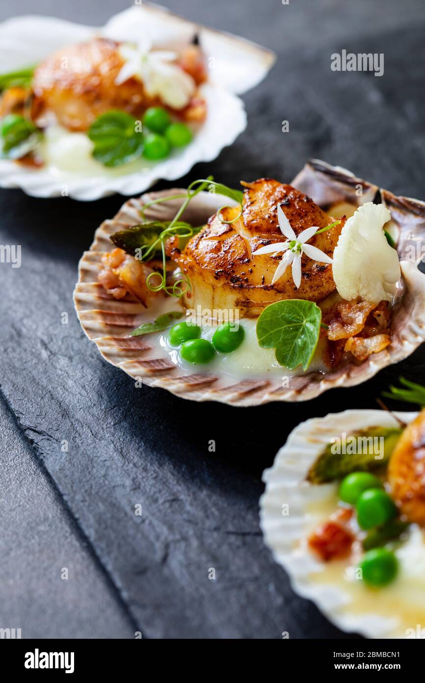 Scallops with cauliflower puree, pancetta, green peas and micro herbs ...