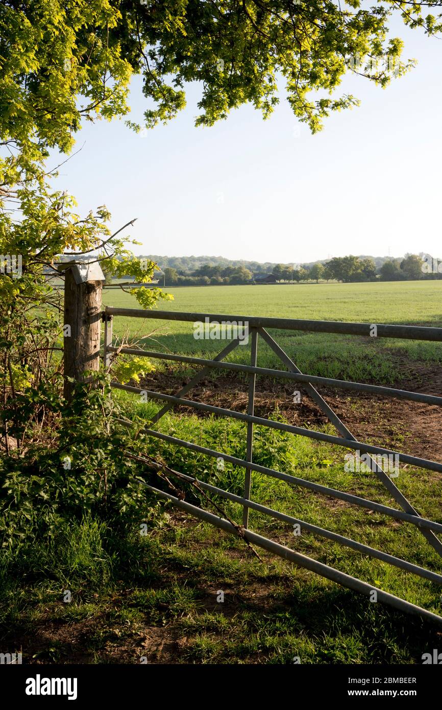 Metal farm gate hi-res stock photography and images - Alamy