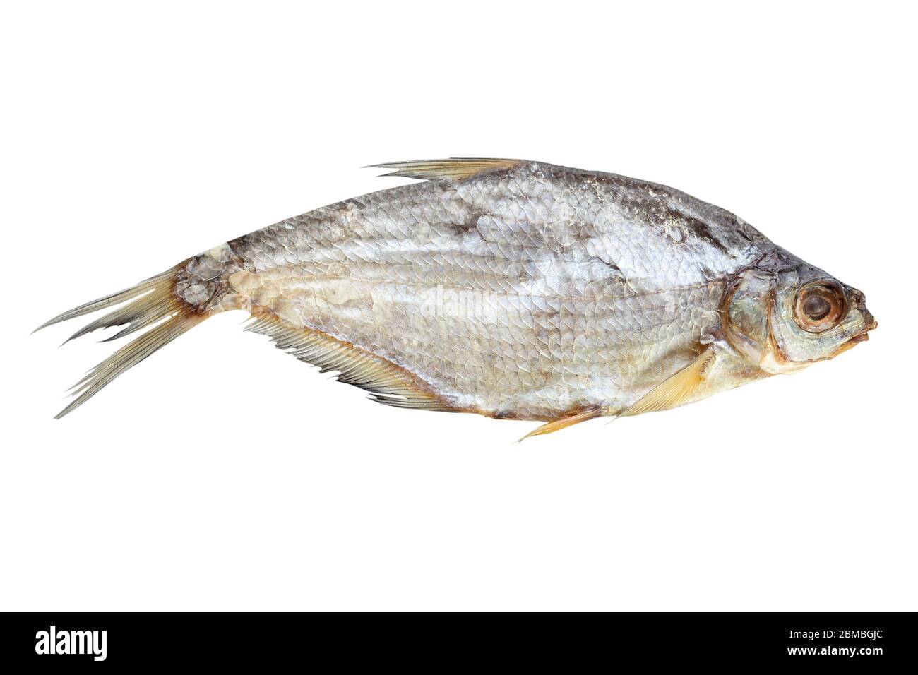 Dry fish isolated on white background. File contains clipping path ...