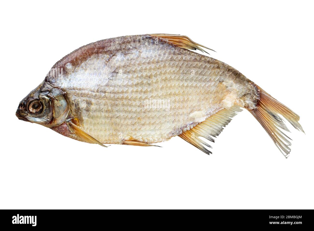 Dry fish isolated on white background. File contains clipping path ...
