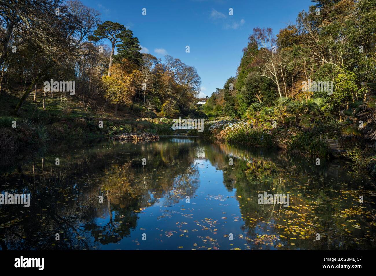 Trebah Garden; Lake Area in Autumn; Cornwall; UK Stock Photo - Alamy