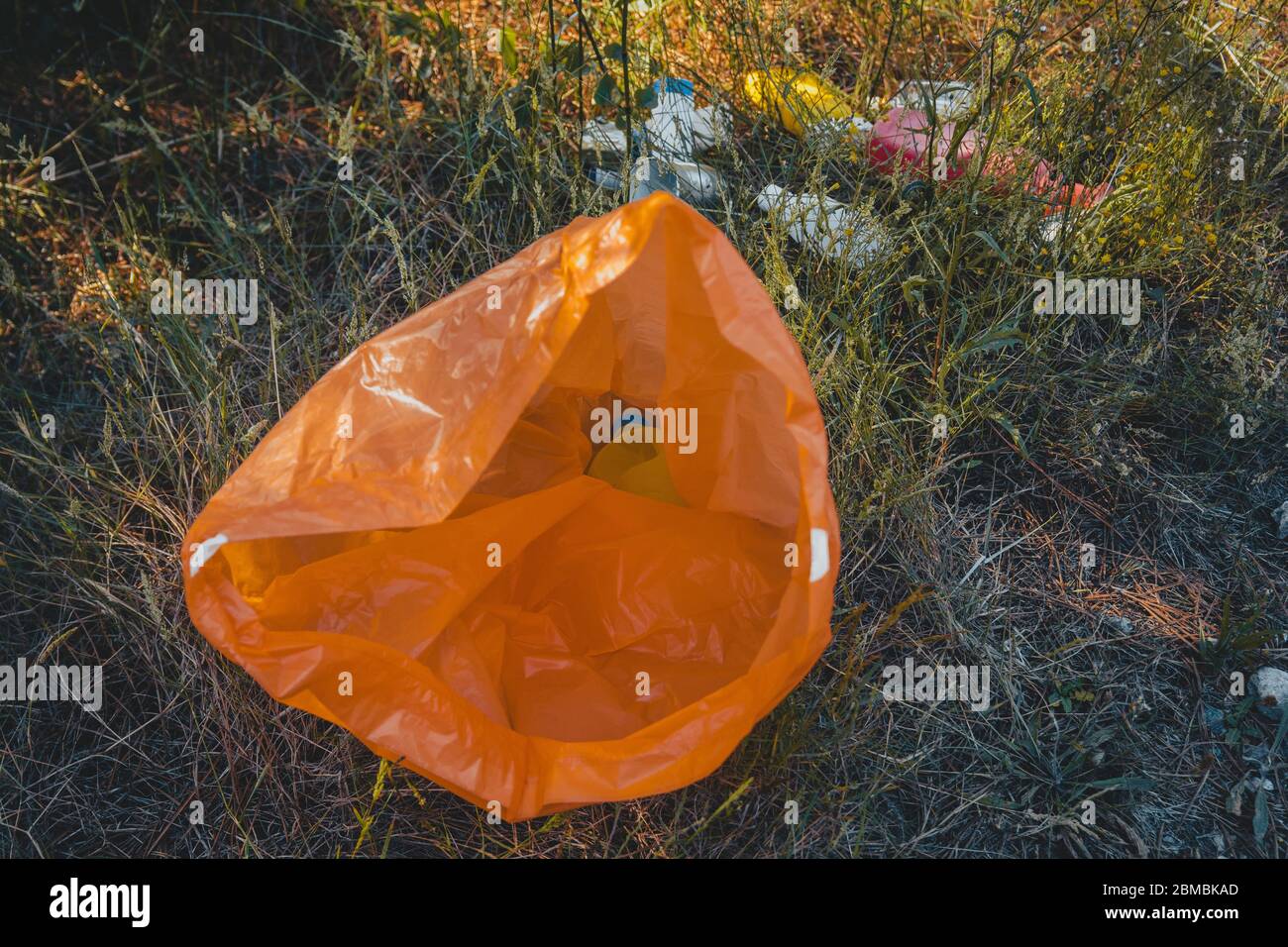 A high angle shot of a full garbage bag on the ground - environmental ...