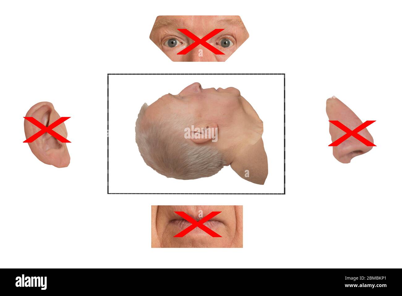 Isolated side view human head in box with ear nose eyes mouth outside ...