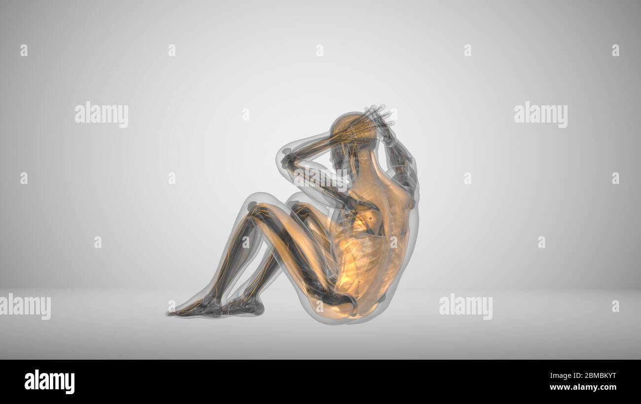 3d abdominal abs background hi-res stock photography and images - Alamy