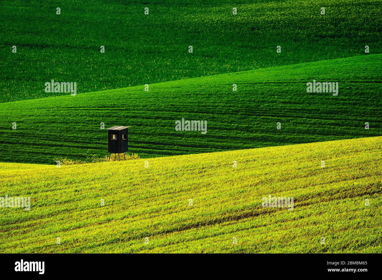 Rolling green hills with fields and wooden hunting shack suitable for ...