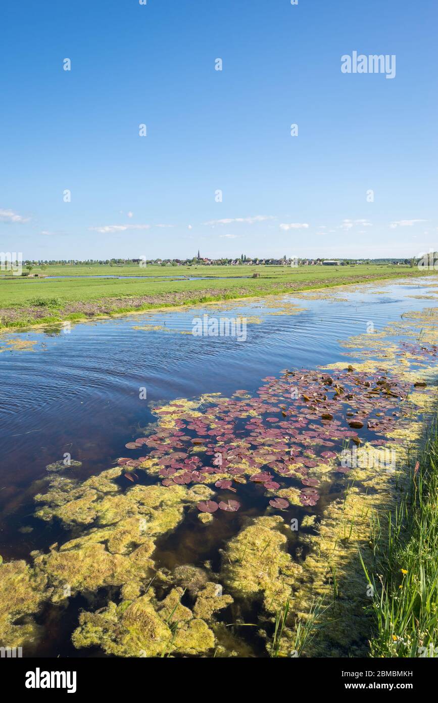 Polder plain hi-res stock photography and images - Alamy