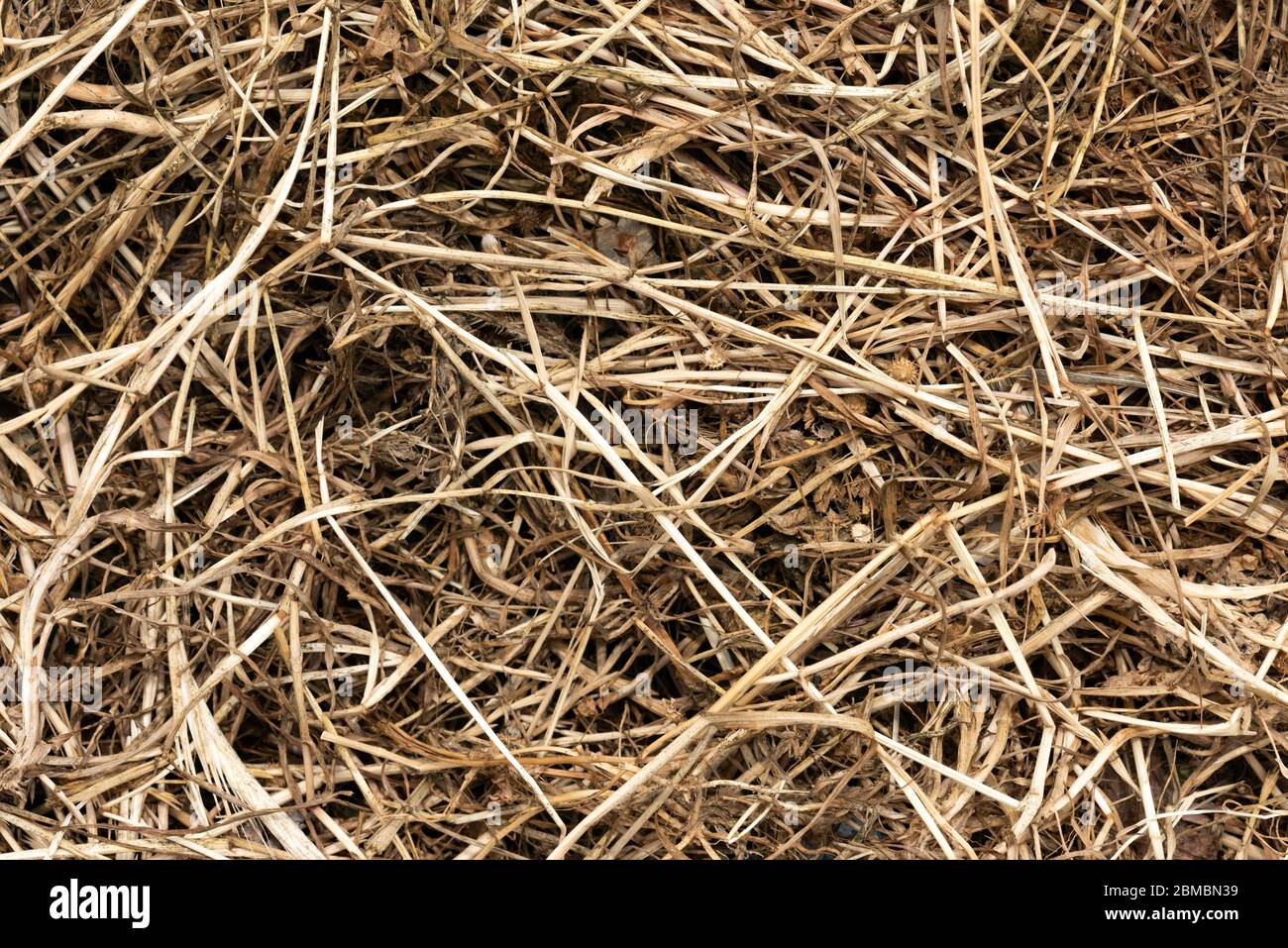 Dry hay background, top view Stock Photo - Alamy