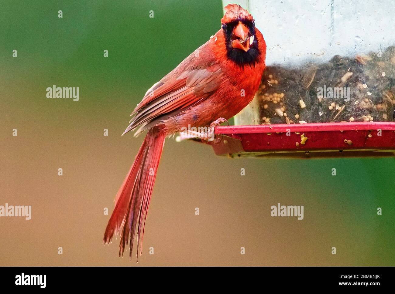 Food time hi-res stock photography and images - Alamy