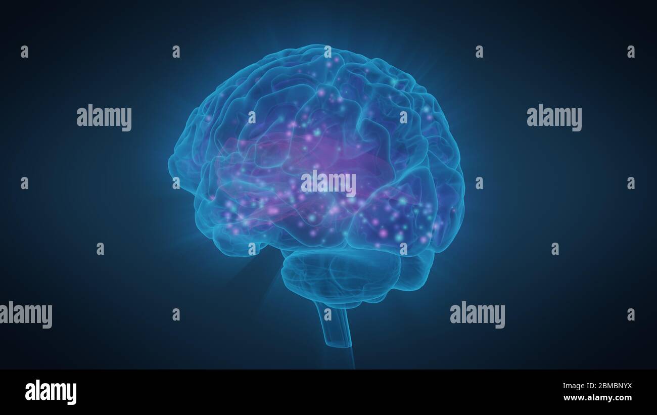 3d illustration human brain with convolutions and a radiance of light ...