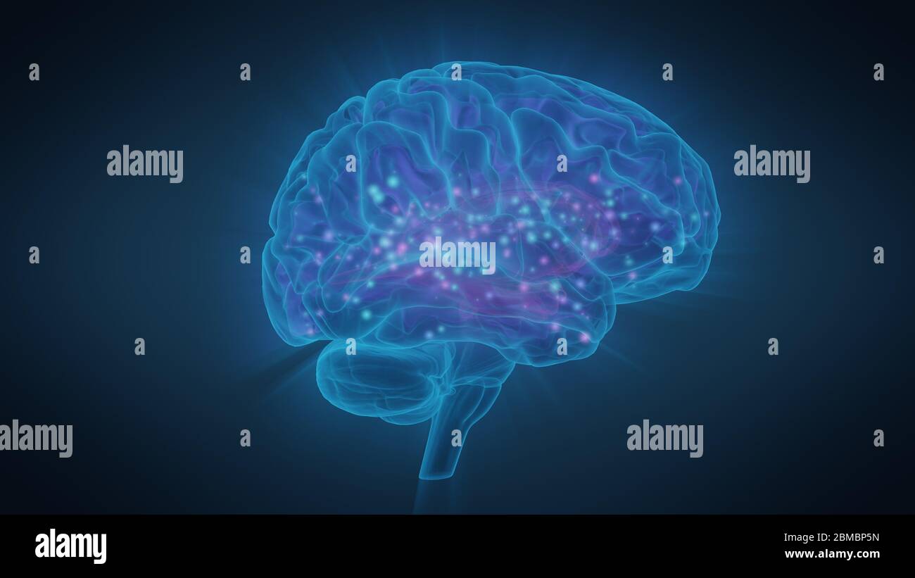 3d illustration human brain with convolutions and a radiance of light ...