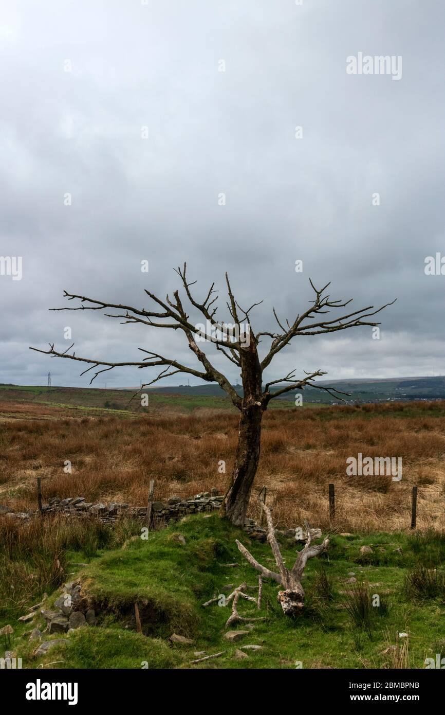 Villafe hi-res stock photography and images - Alamy