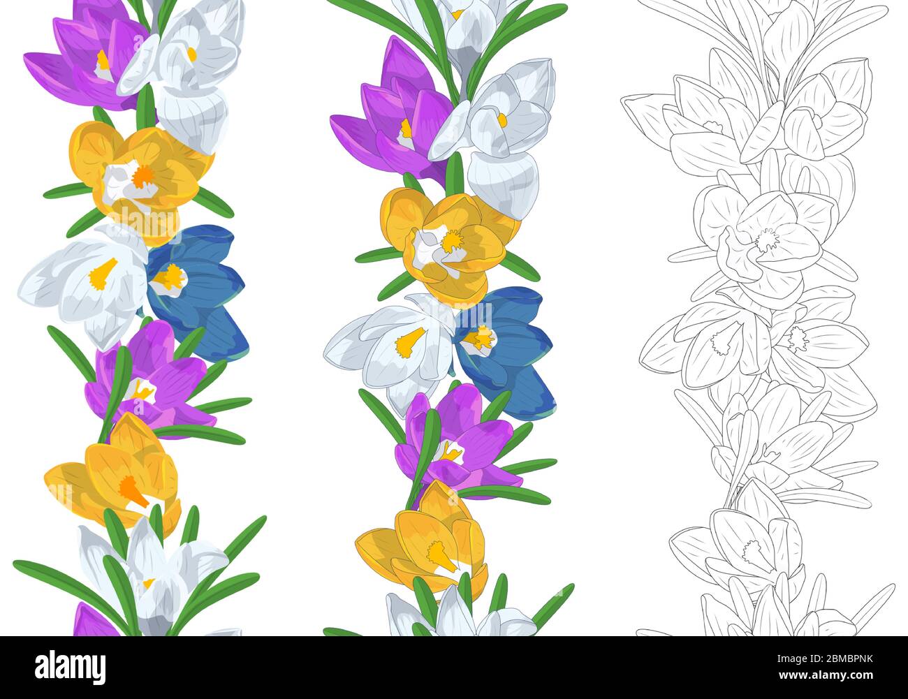 Hand drawn colorful and monochrome crocus flowers seamless brushes ...