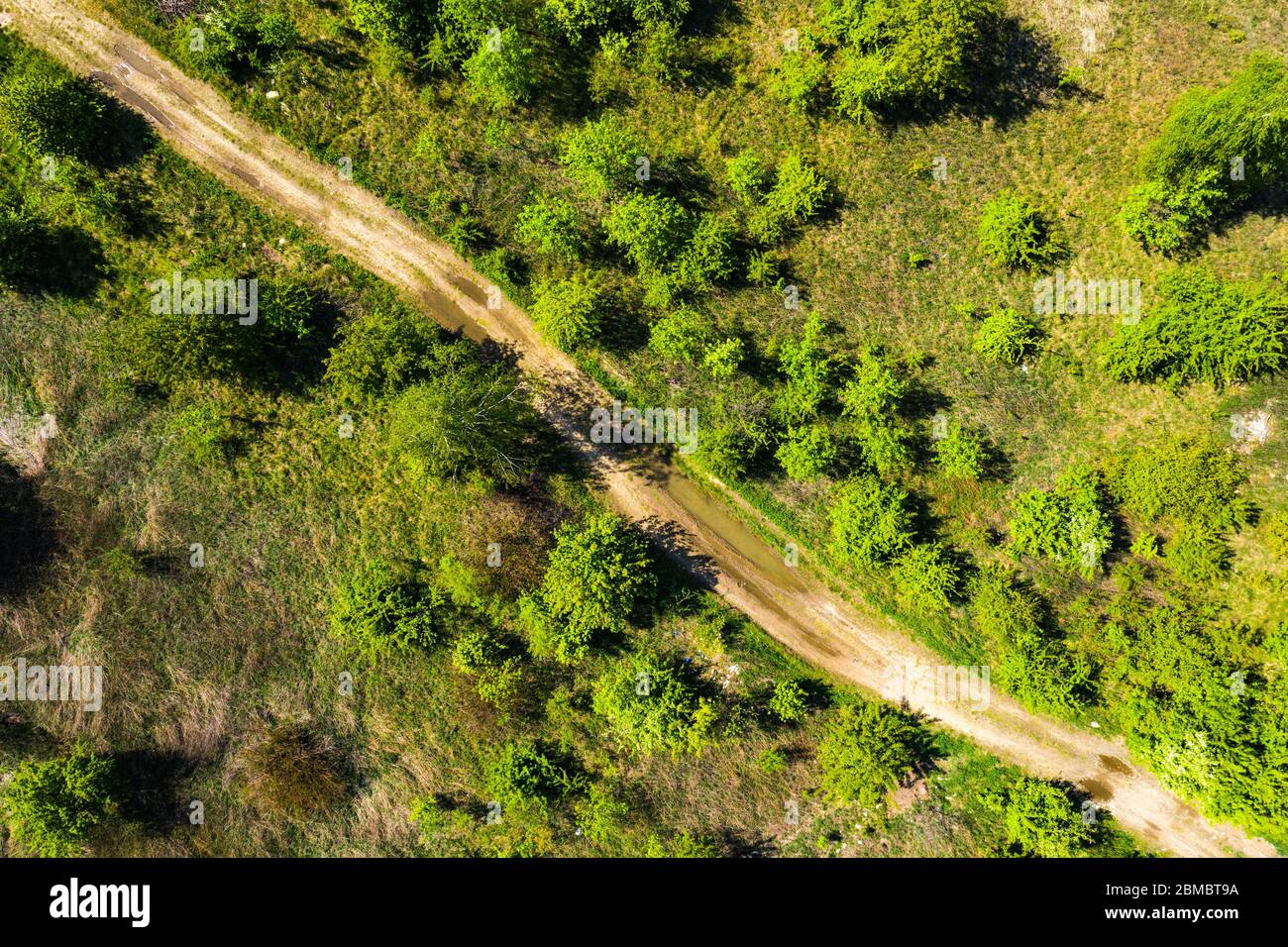 Top view of the dirt road and dense green forests. Beautiful bright ...