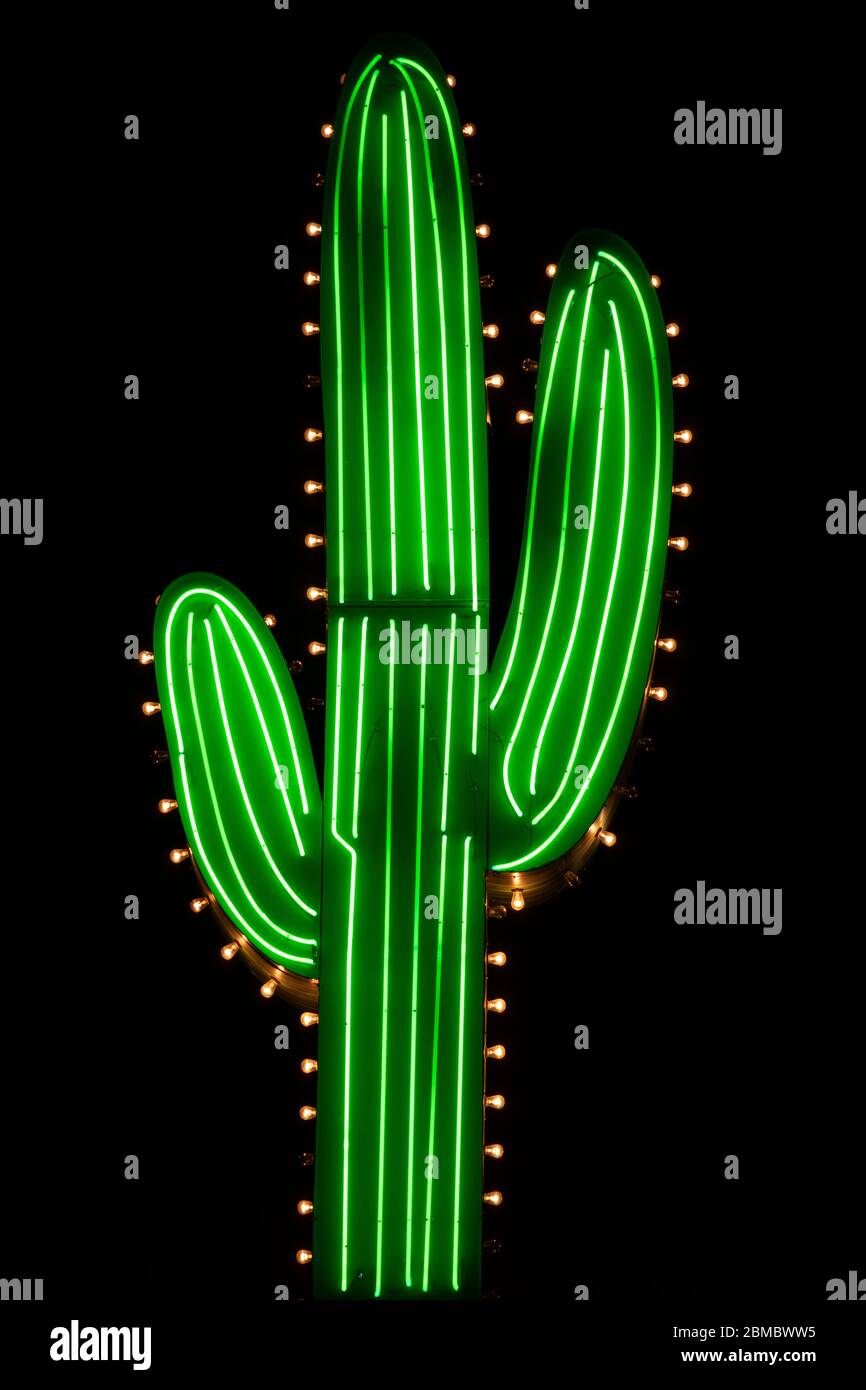 Green neon light sign of saguaro cactus lit at night facing Stock Photo ...