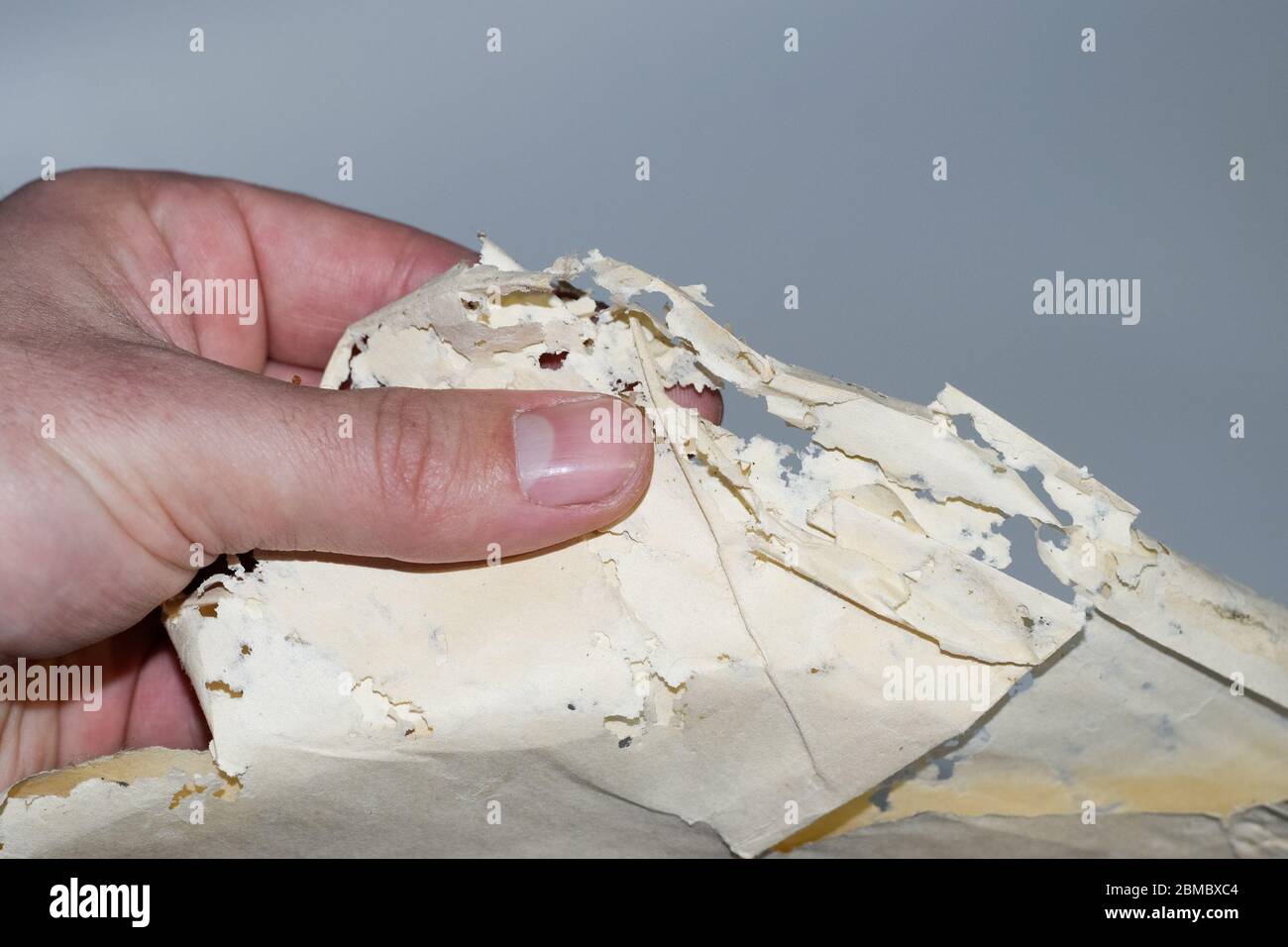 Paper house cutout black hi-res stock photography and images - Alamy