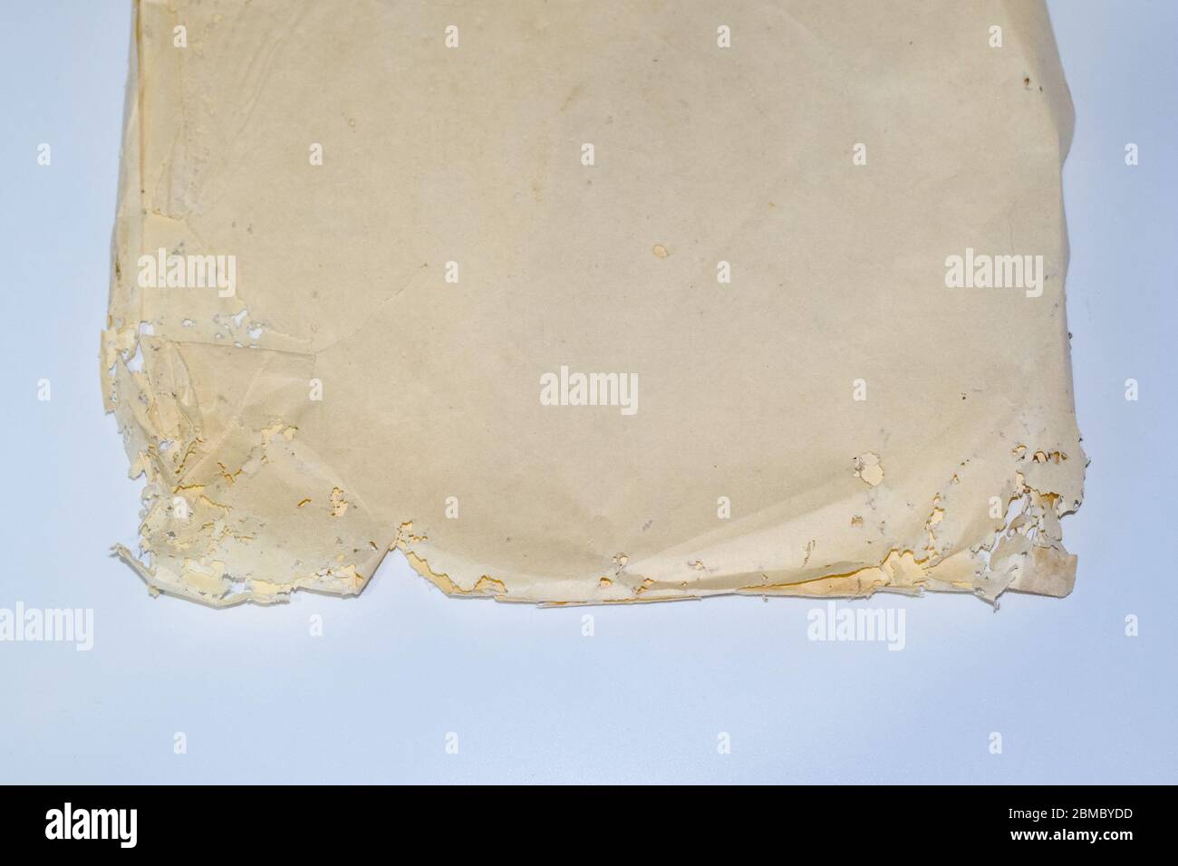 Paper swallowed with silverfish. Traces of wrecking silverfish on vinyl ...