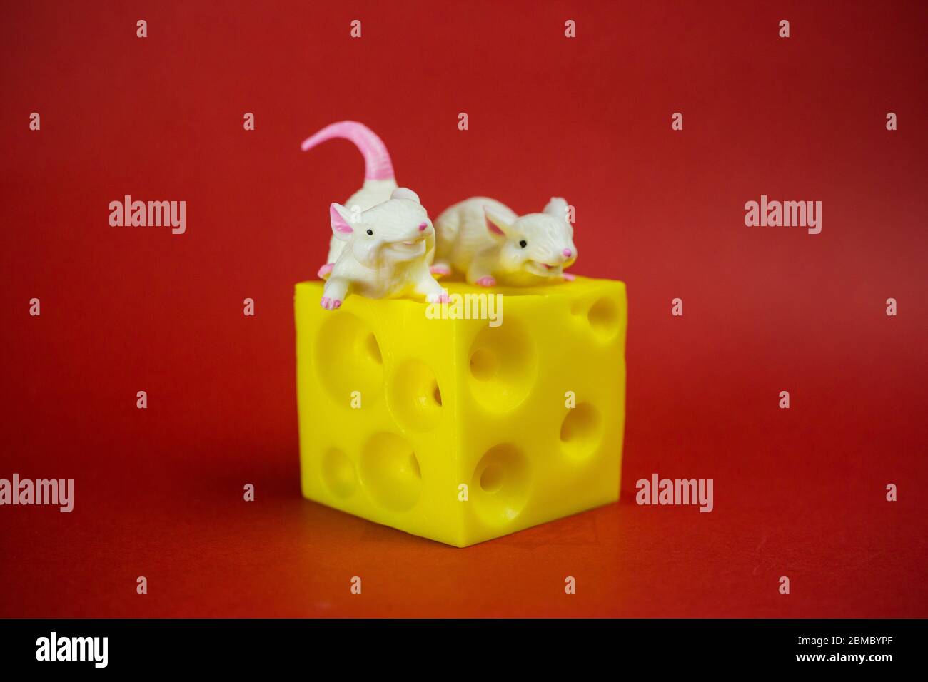 Year of the rat, mouse in cheese Stock Photo - Alamy
