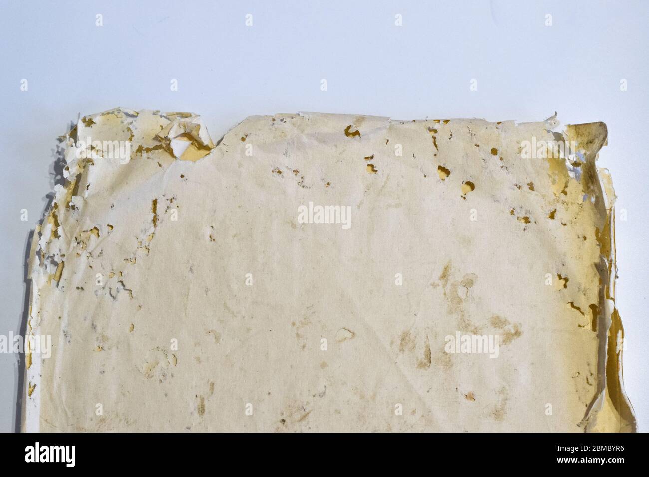 Paper swallowed with silverfish. Traces of wrecking silverfish on vinyl ...