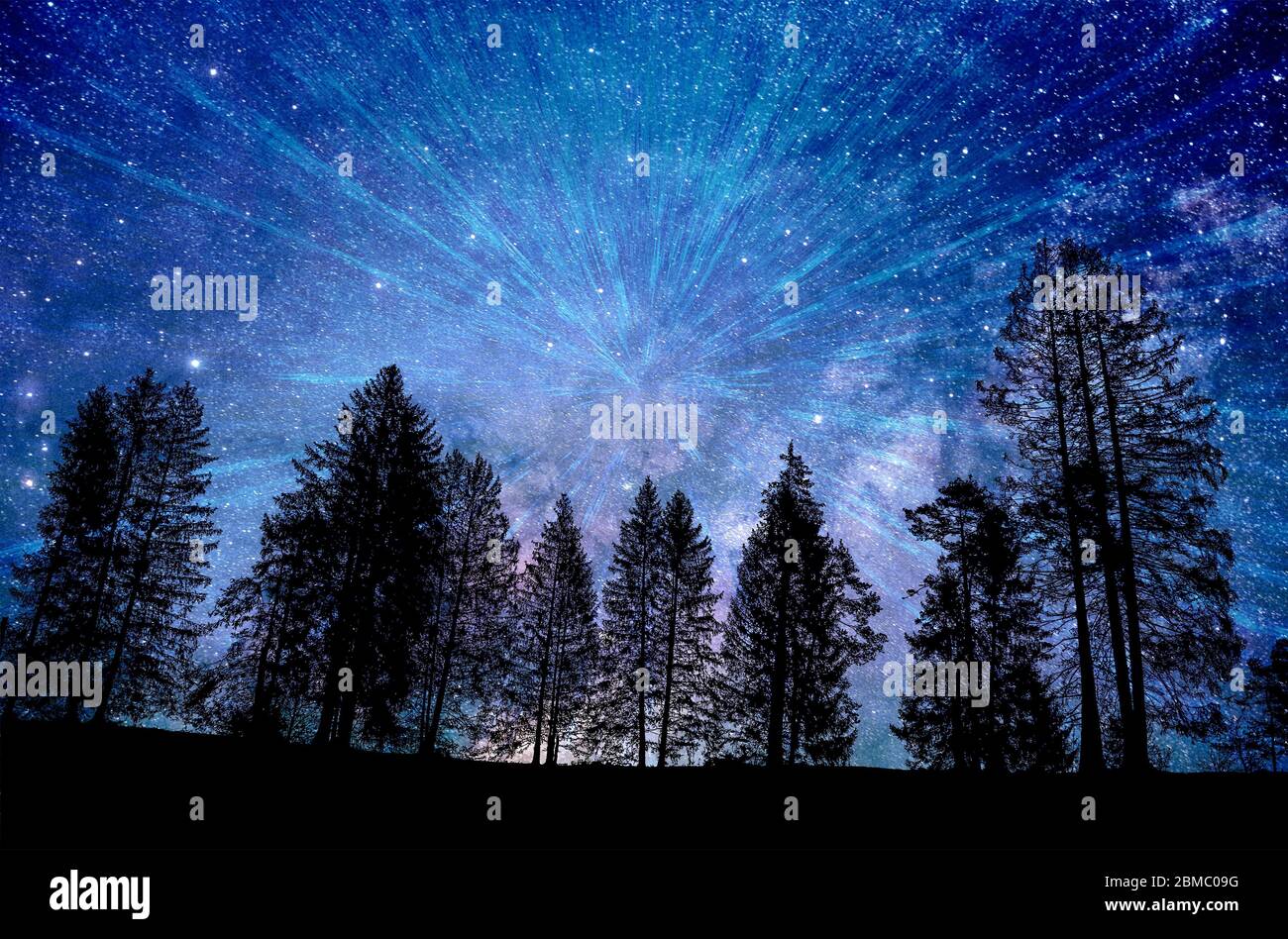 3d rending illustration of a forest in night sky Stock Photo - Alamy