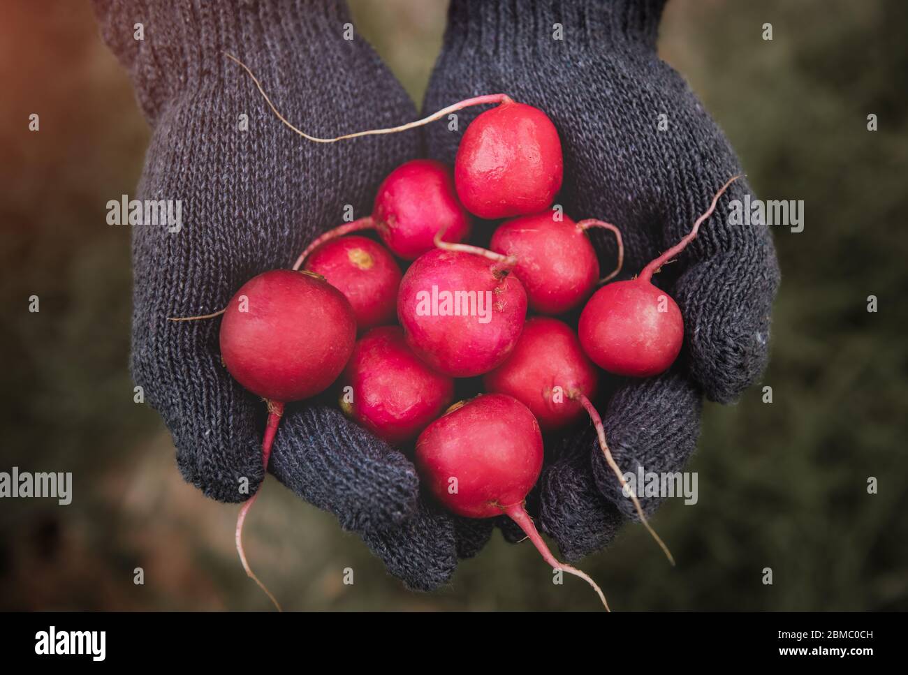 Baby hand top view hi-res stock photography and images - Alamy