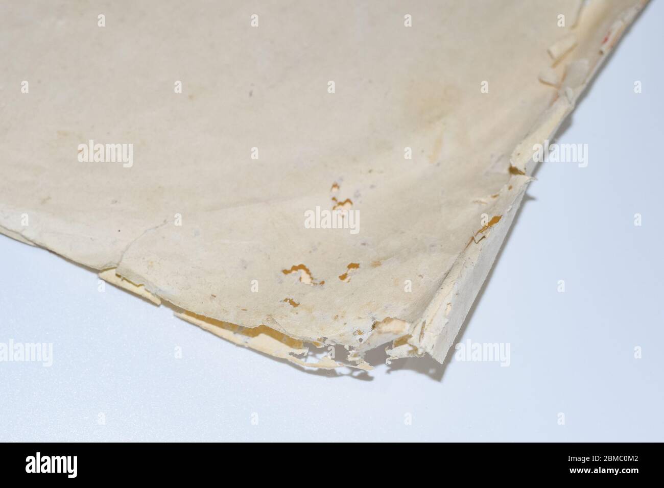 Paper swallowed with silverfish. Traces of wrecking silverfish on vinyl ...