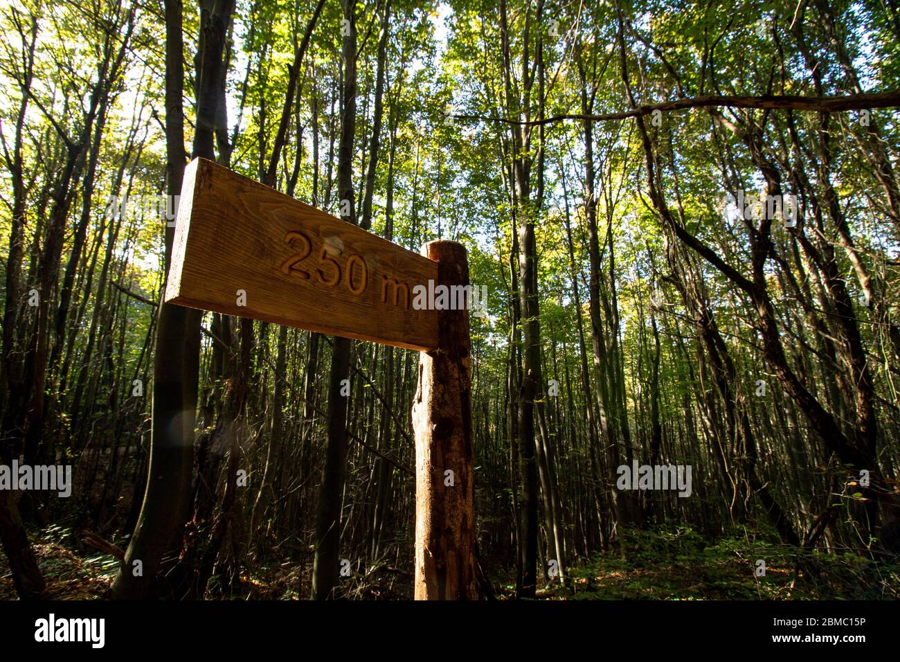 Long distance sign sign line line line background outdoor hi-res stock ...
