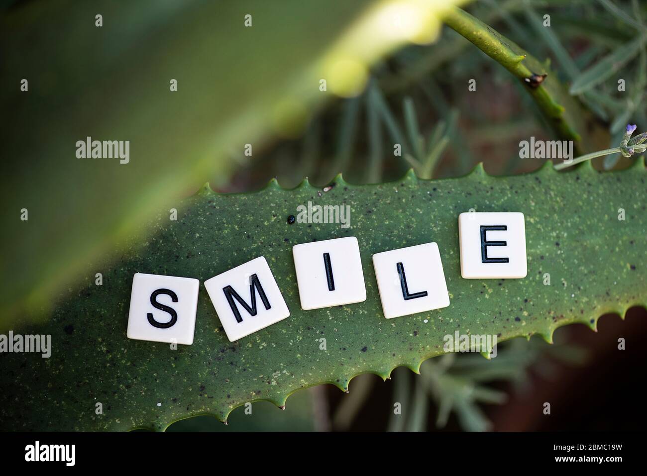 Smile in block letters Stock Photo - Alamy