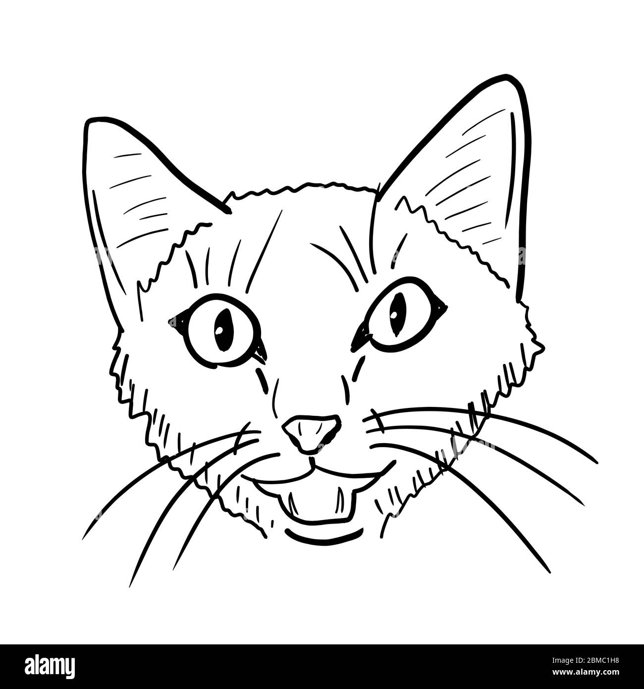 Meowing cat vector illustration. Hand-drawn cat face Stock Vector Image ...