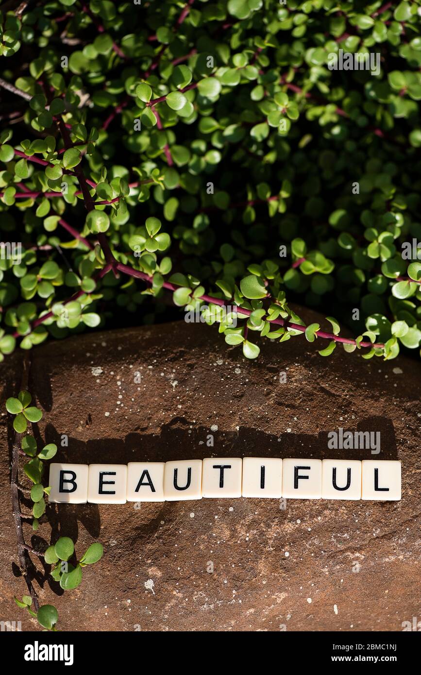 Beautiful in block letters Stock Photo - Alamy