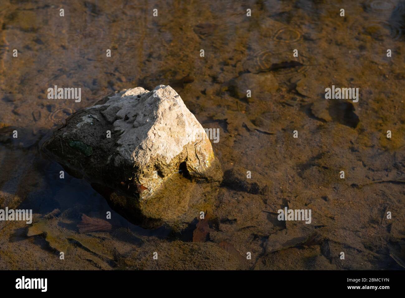 A rock in the clean water Stock Photo - Alamy