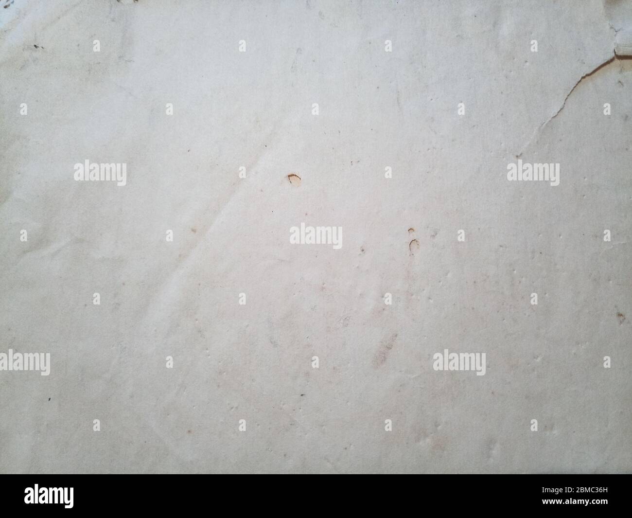 Paper swallowed with silverfish. Traces of wrecking silverfish on vinyl ...