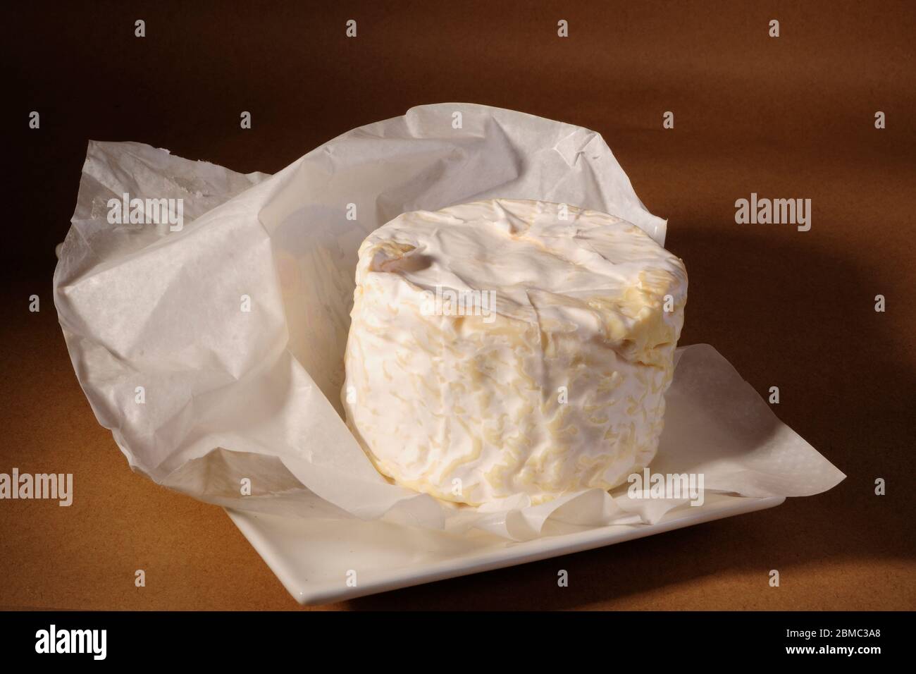 Soft cheese on plate hi-res stock photography and images - Alamy